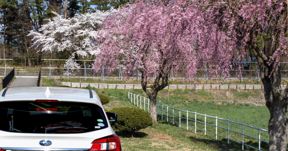 元スバリストが教えるスバル「残価設定クレジット」のメリット・デメリット | EGORIDE